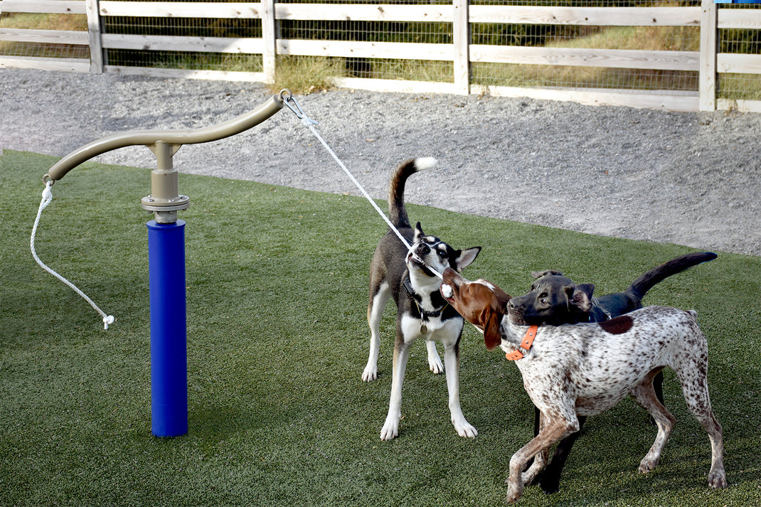 Commercial Dog Park Equipment – BarksandRec.shop